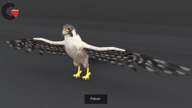 30 Forest Animals Super Pack 3D Model Collection - CGArchives