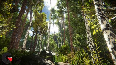 Realistic Nature Environment v1.4 - CGArchives